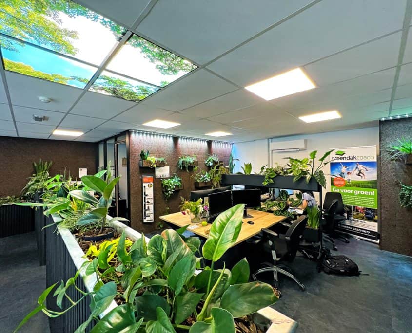 Vegetatiedak aanleggen - Groendakcoach.nl