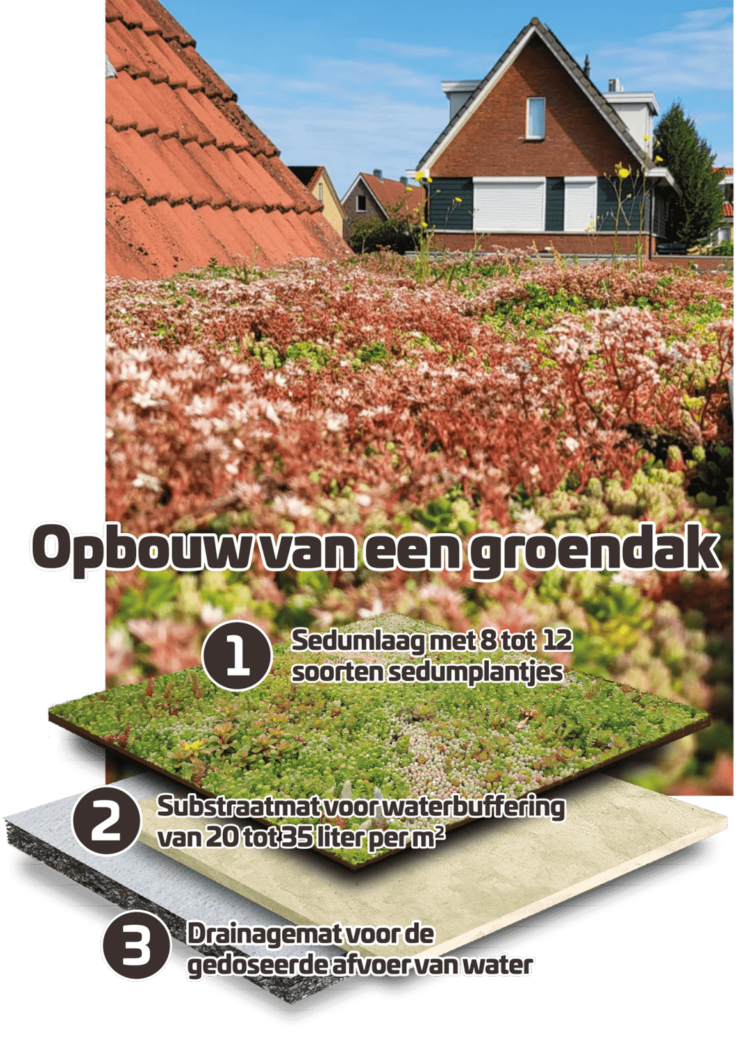 Groendak aanleg - Met subsidiemogelijkheden | Groendakcoach